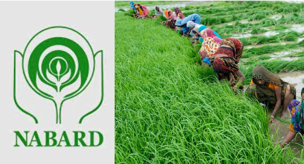 NABARD Recruitment 2024